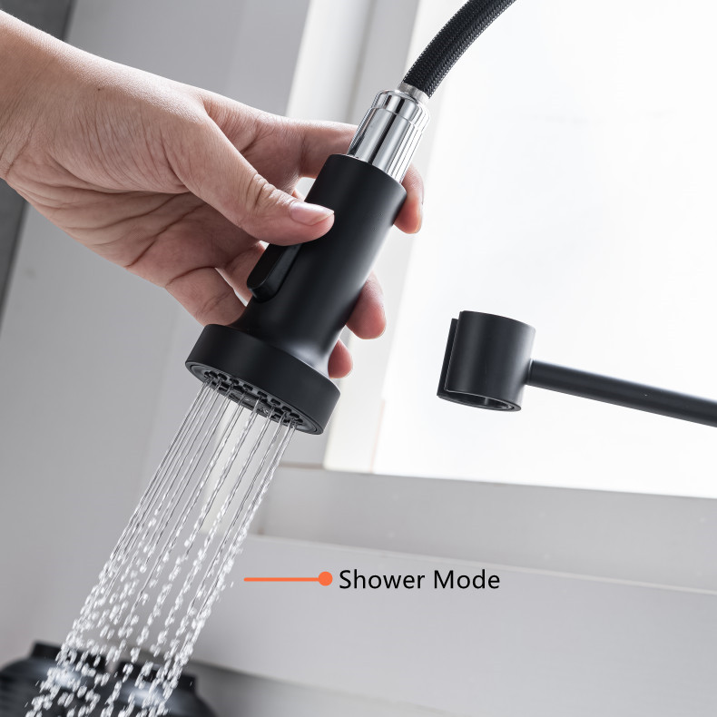 Pull-Out Kitchen Faucet with Dual Function Spray Head - TAPEEI